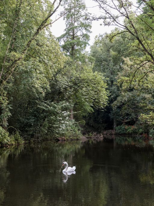 SANDY VOLZ - Sandy Volz is a photographer and artist from Berlin.