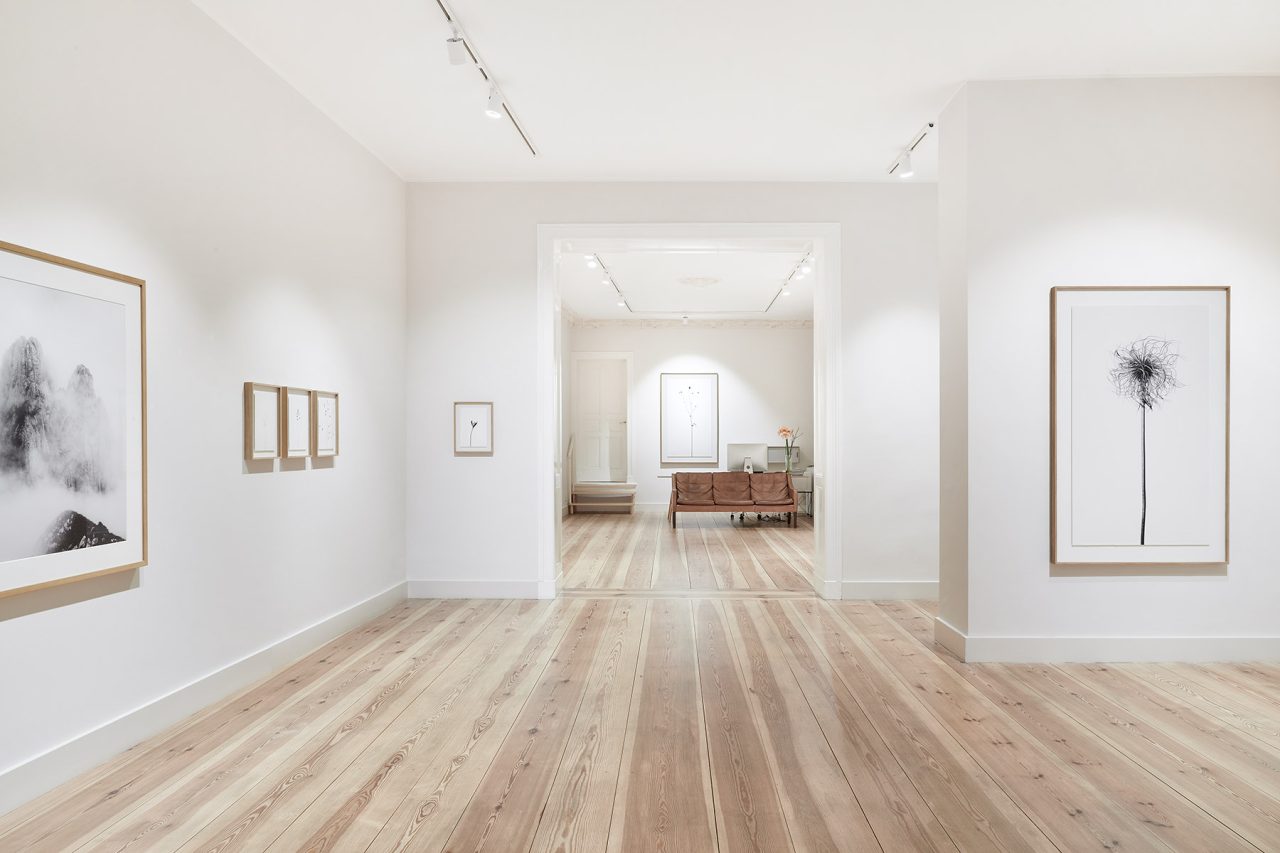 SANDY VOLZ - Sandy Volz is a photographer and artist from Berlin.